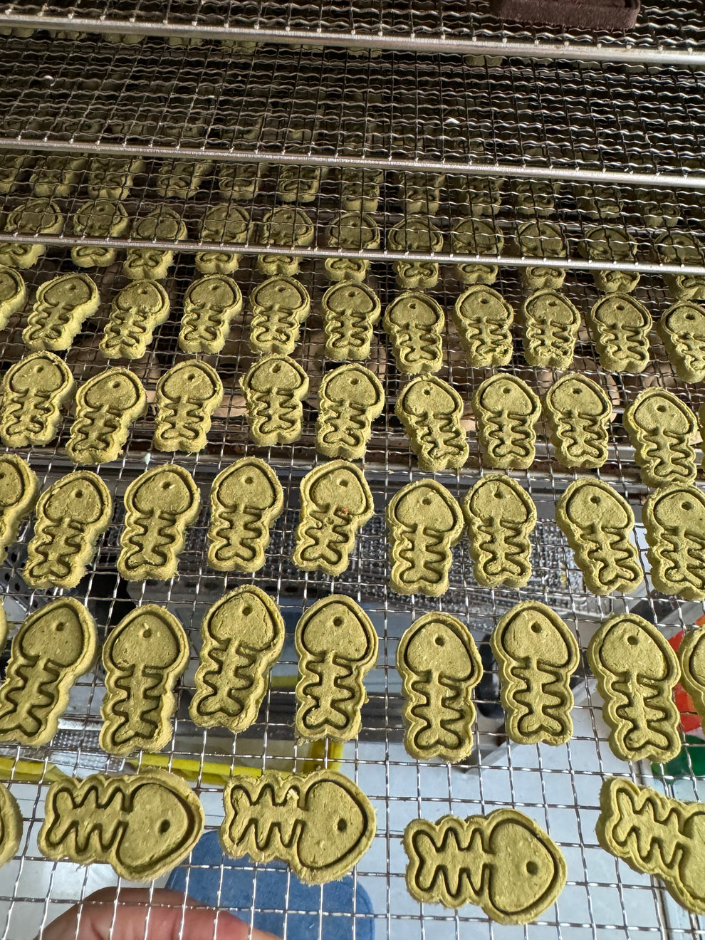 Cat grass fish biscuits 猫草小鱼饼干 – Coco's Pet Food